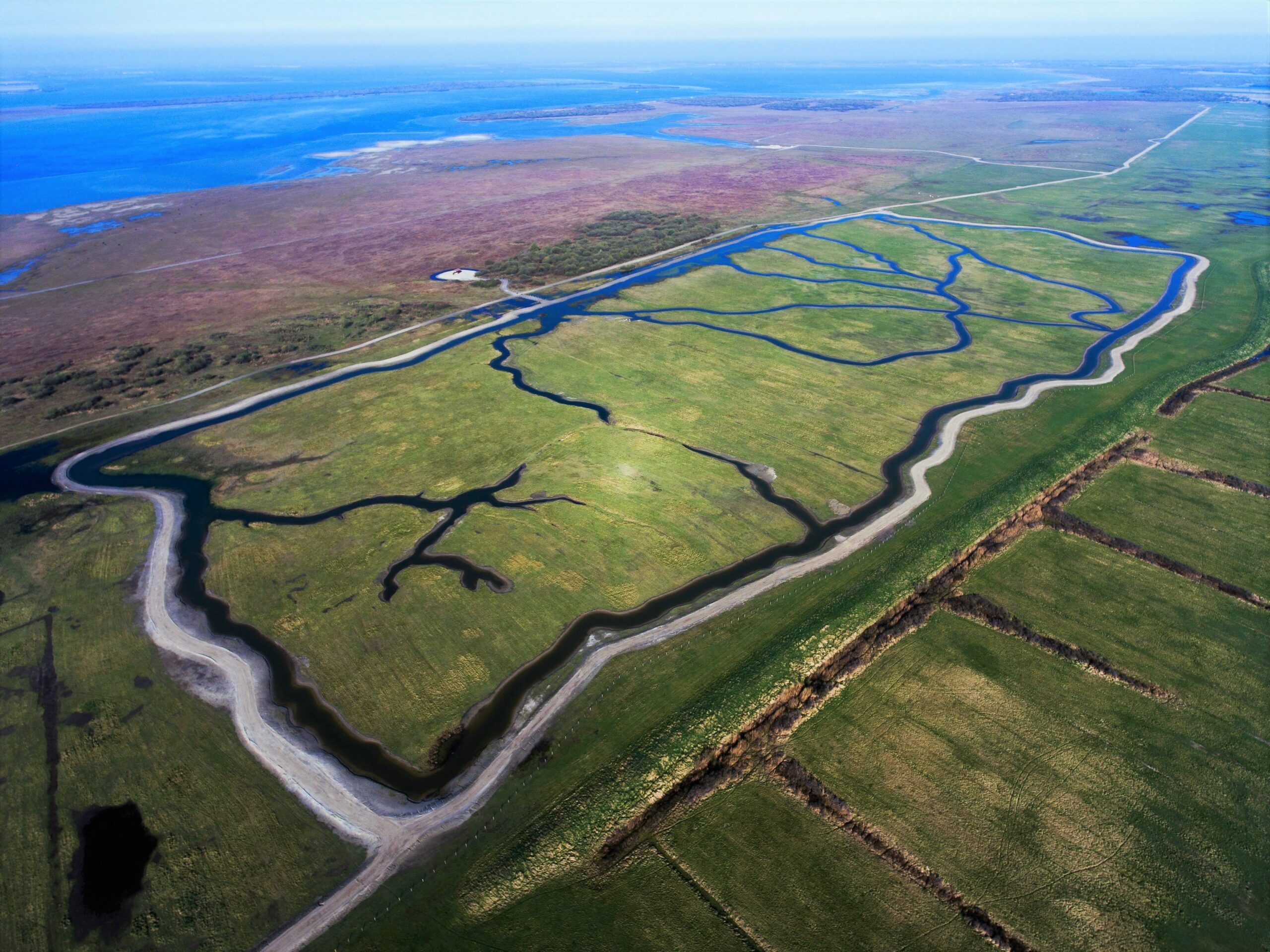 Gebiedsontwikkeling Slikken van Flakkee - Verboon Maasland